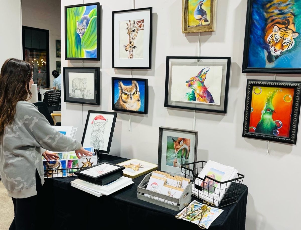 Youth Art Program - Sonoran Arts League